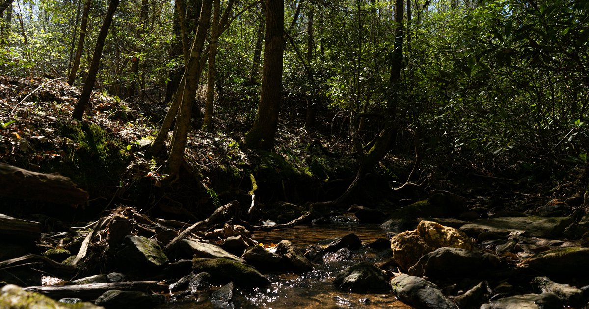 Blue Loop Trail | Downtown Valdese